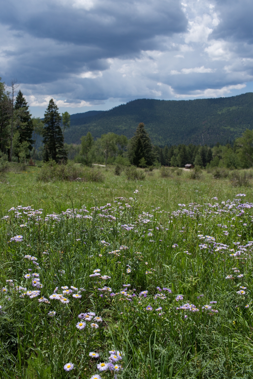 Anatomy of a Nightscape, Episode III: HDR and Focus Stacking – Face of ...